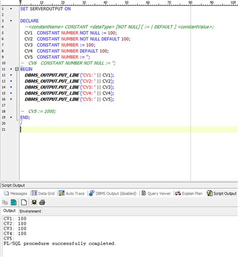Oracle Plsql 상수 선언 Constant Declaration 오라클