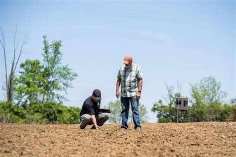 Maximize Your Food Plot With A Comprehensive Fertilizer Strategy