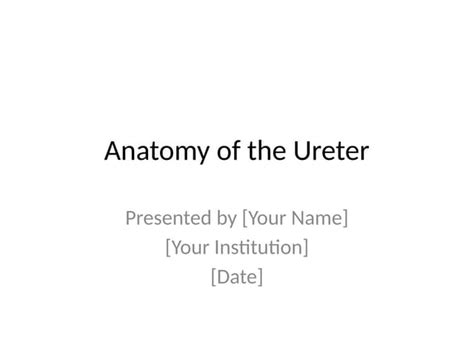 Anatomyofureterpresentation11111pptx