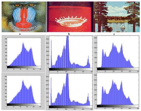 Sustainability Free Full Text Multi Perspectives Steganography