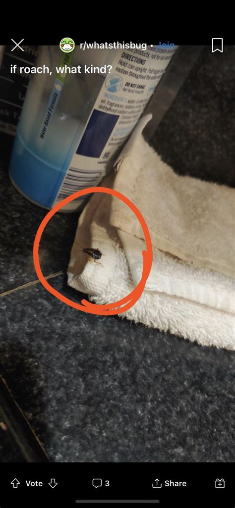 Useless Circle Around Black Bug On White Cloth Ruselessredcircle