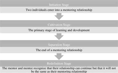 The American Psychological Association Four Stages Of The Mentoring Download Scientific Diagram