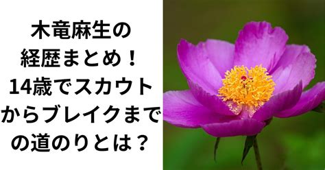 木竜麻生の経歴まとめ！14歳でスカウトからブレイクまでの道のりとは？ Rapisu