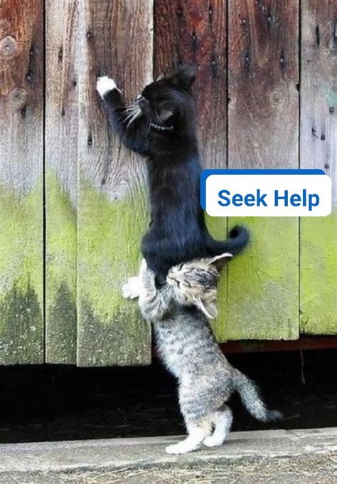 daniel chimezie 🍊 on linkedin i had a coach friend in his mid 50 s who sips 2 extra cup of