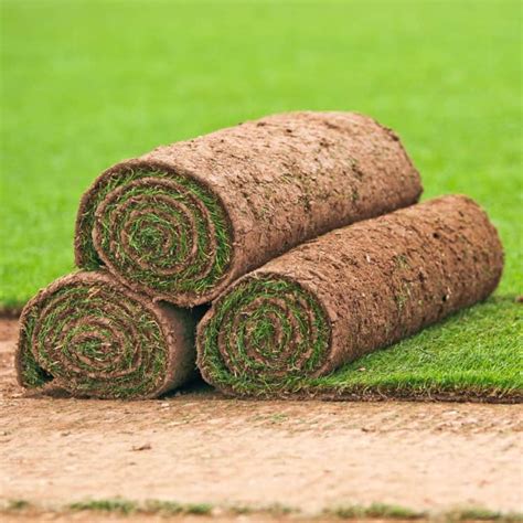 Fresh Lawn Turf Rolls Premium Garden Grass Collection Only