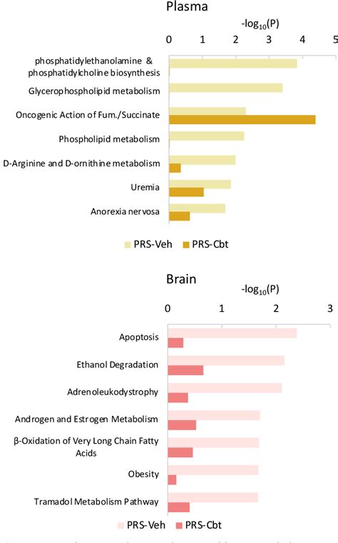Figure 1 From Postpartum Oxytocin Treatment Via The Mother Reprograms