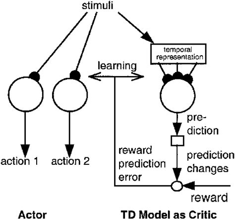 Model Architecture Consisting Of The Actor Left And The Critic