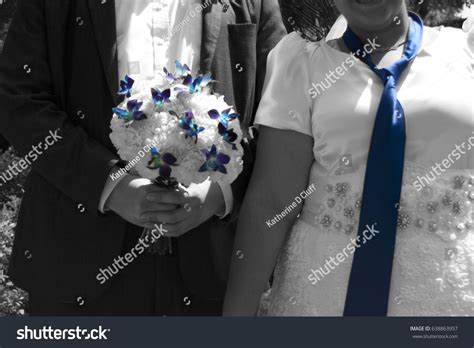2 Wedding Roles Reverse 图片、库存照片和矢量图 Shutterstock