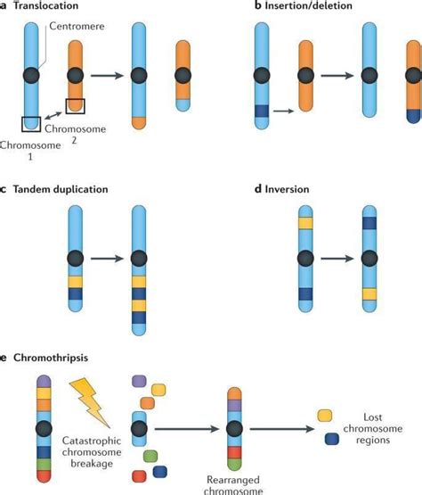 Yang H On Linkedin Detecting Fusion Transcripts By Rna Sequencing In