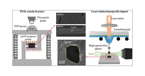 Tough Monolayer Silver Nanowire Reinforced Double Layer Graphene Acs Applied Materials