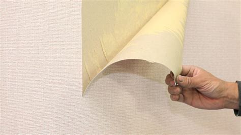 ビニールクロス（壁紙）の剥がし方 漆喰と珪藻土の専門店ロハスウォール（完全自然素材）