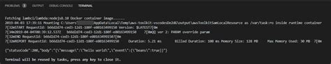 Strip Or Render The Formatting Codes Returned By Sam Local Output Issue Aws Aws