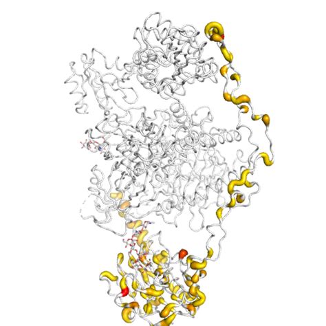 Calr Gene Somatic Mutations In Cancer