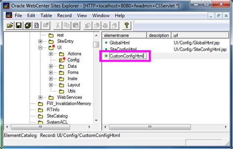 Oracle Webcenter Sites 11g Customizing The Contributor Interface
