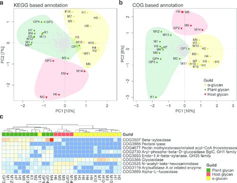 Metabolic Guilds Cluster Together Based On Broad Kegg And Cog Orthology