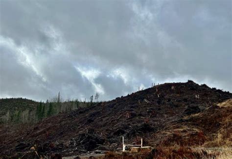 the logging juggernaut