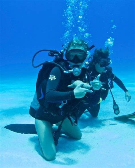 Hayden Panettiere On X Scuba Diving Scuba Diving
