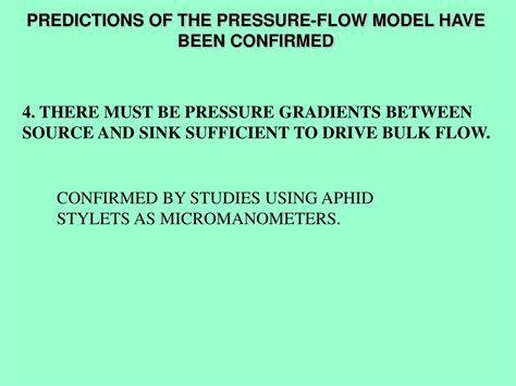 Ppt Phloem Translocation Powerpoint Presentation Free Download Id 1486413