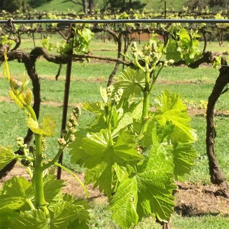 David Antonie On Linkedin Spring Here Go