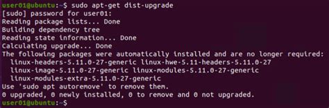 Ubuntu Apt Get Mastery A Guide With Practical Examples