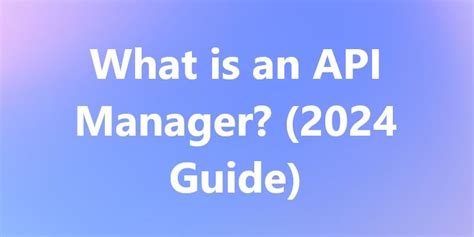 What Is An Api Manager 2024 Guide
