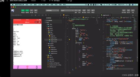 使用wxml和wxss实现条件渲染与列表渲染 csdn博客