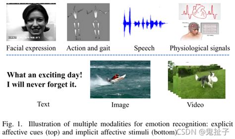 多模态情感识别数据集和模型下载地址最新综述20218基于联邦学习的多模态情感分析模型设计与实现 Csdn博客