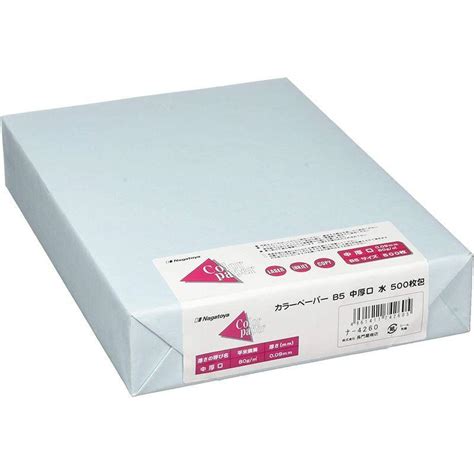 大阪の販売店 業務用100セット Nagatoya カラーペーパー コピー用紙 〔a4 厚口 100枚〕 両面印刷対応 さくら メーカー