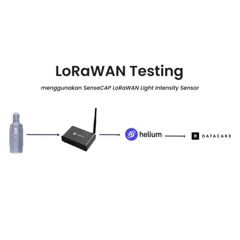 Helium Lorawan Iot Kit Light Intensity Sensor Sensecap Digiware Store
