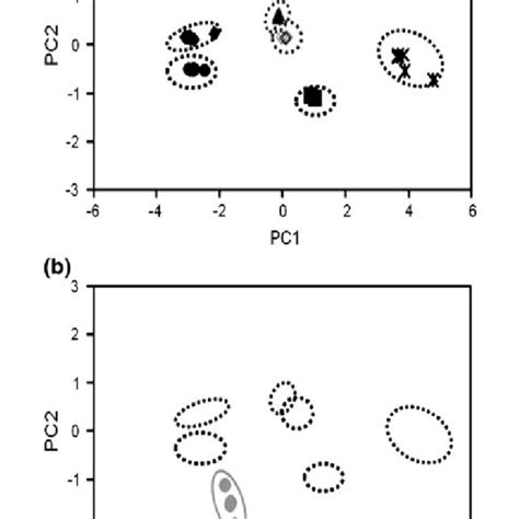 Carbon Black Polymer Sensor Response To 2 Vapour Pressure Of Acetone