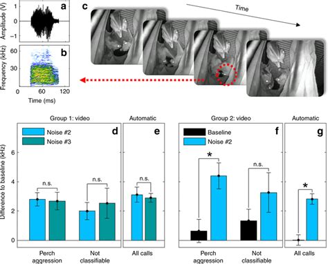 Analysis Of Context Specific Vocalizations A B Example Of A Bat Download Scientific Diagram