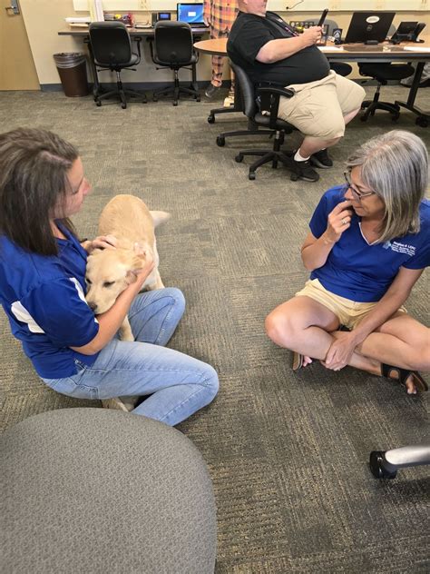 Our Sweet Mabel Had A Big Day First Was The Lepc Meeting That Stands For Local Emergency