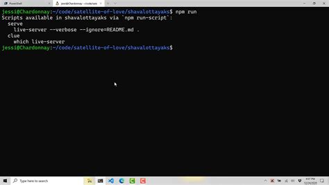 Understanding Npm Run And Why To Avoid Npx Graceful Dev