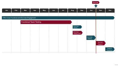 Oracle Cloud Implementation Texas Womans University
