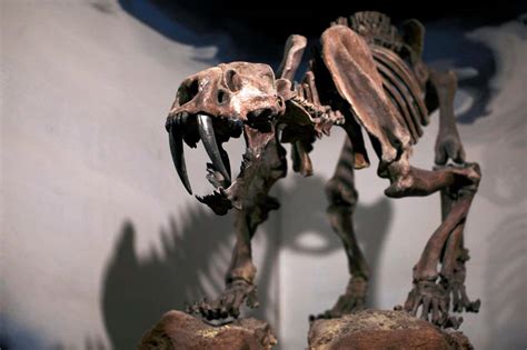 Evolution News Articles And Features New Scientist