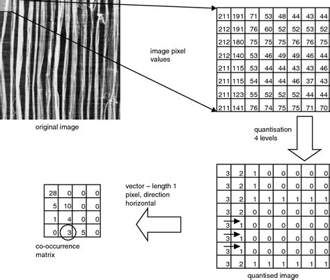 Figure 1 From Robust Texture Features For Still Image Retrieval Semantic Scholar