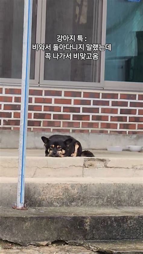 깜순이네 딸기 🍓 논산 딸기 설향 킹스베리 김광순 나가지 말랬찌 Instagram