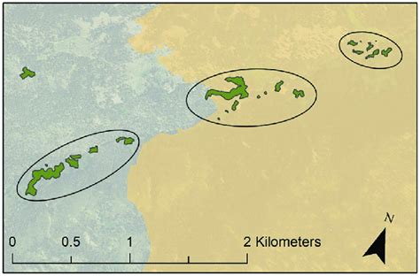 Example Of Aspen Polygon Grouping Procedure Where All Polygons In Close Download Scientific