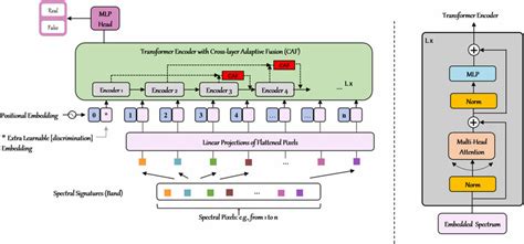 Discriminator Architecture Of The Proposed Hypervitgan For Hsi