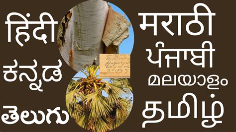 Interesting Story About Indian Languages Scripts Times Now Telugu