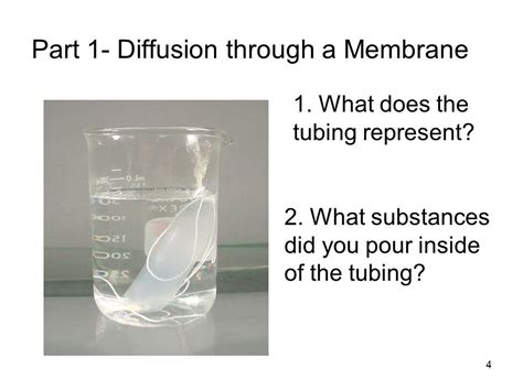 Diffusion Through A Membrane Powerpoint
