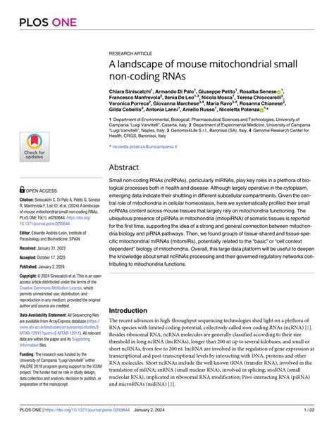 Pdf A Landscape Of Mouse Mitochondrial Small Non Coding Rnas