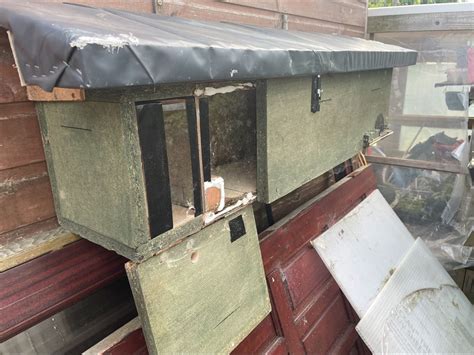 In A Quiet Corner Of The Garden An Experiment Starts… Simon Park 🔒🗄️📊📞