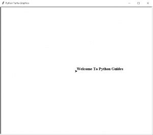 Python Turtle Write Function