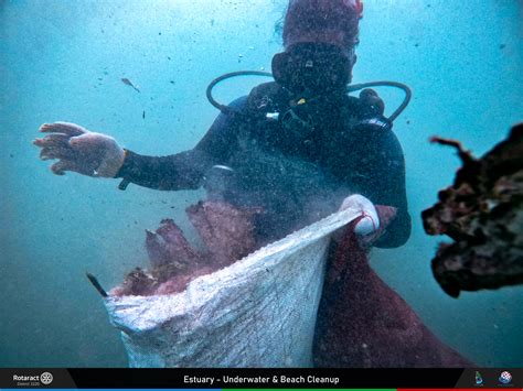 Cleansl “the Sea Is An Underwater Museum Still Awaiting Its Visitors