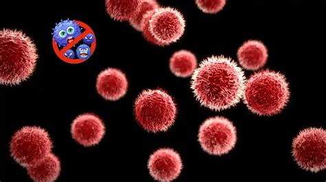 Antibacterial Finishes On Textile Materials Textile Library