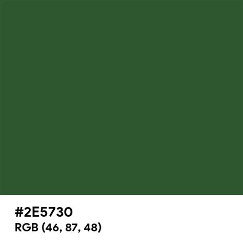 Spruce Color Hex Code Is 2e5730