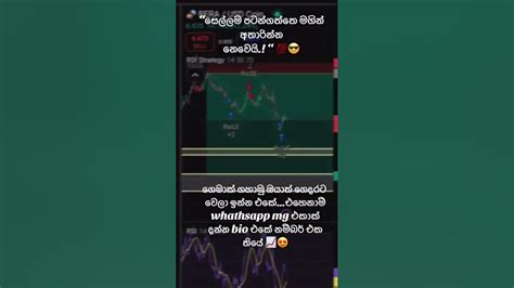 එකතු වෙලා ගෙමාක් ගාන්න සෙට් වෙමු අපි ඔක්කොම මෙක හැමොත් එක්ක ගොඩ යන්න ගහාන්න ගමාක් 😎👊🫂 Youtube