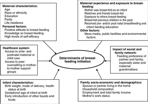 A Priori Model Developed From Published Literature Indicating Potential