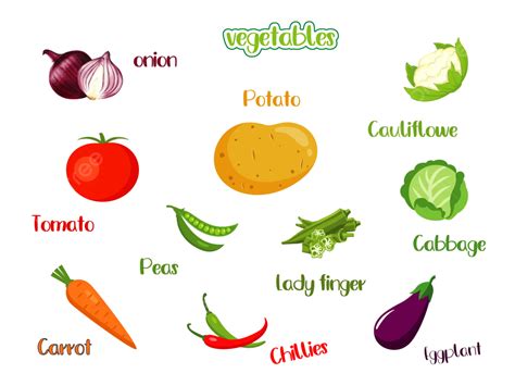 채소 벡터 교육 야채와 과일 야채 패턴 Png 일러스트 및 벡터 에 대한 무료 다운로드 Pngtree